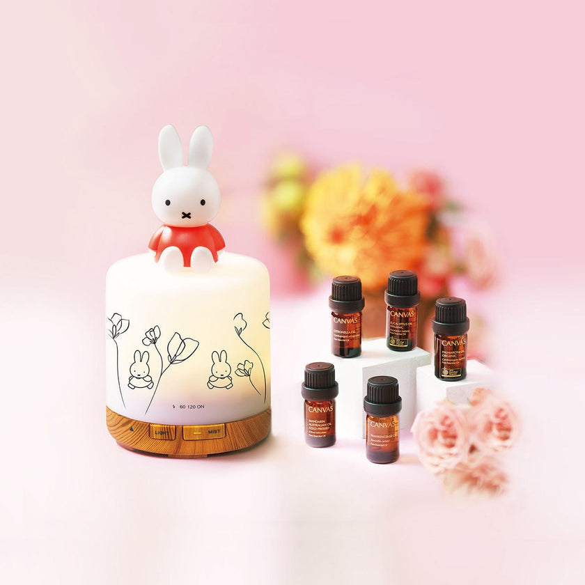 官網獨家優惠 – CANVAS Beauty Hong Kong