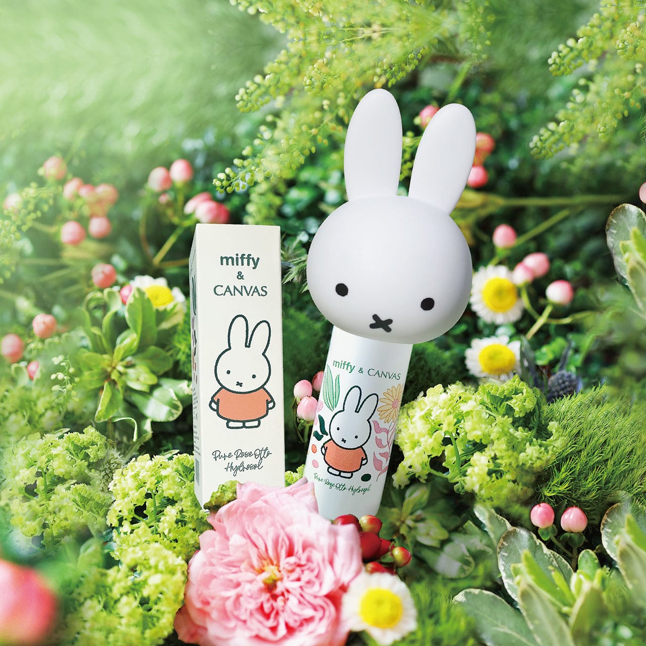 官網獨家優惠 – CANVAS Beauty Hong Kong