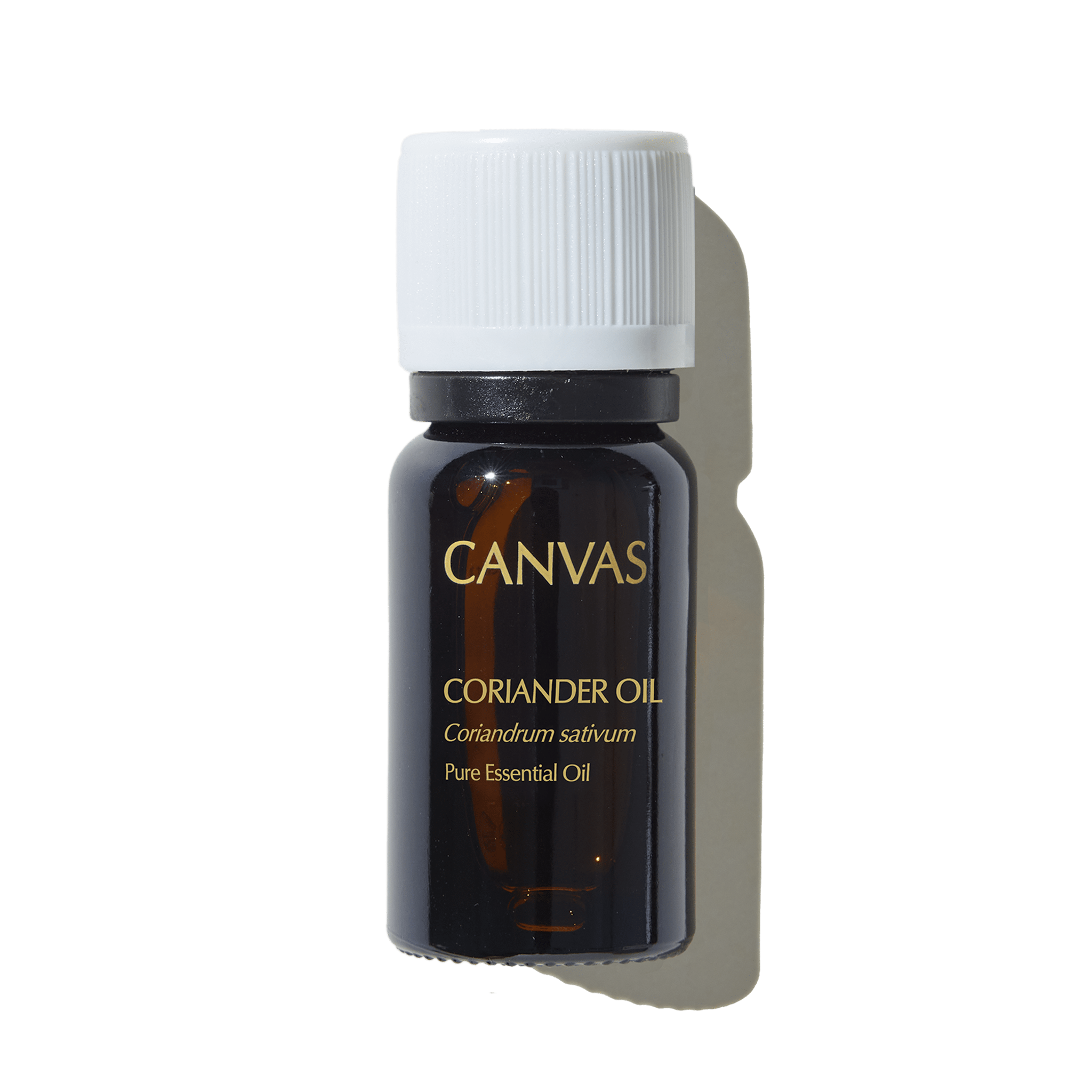 Coriander Oil – CANVAS Beauty Hong Kong